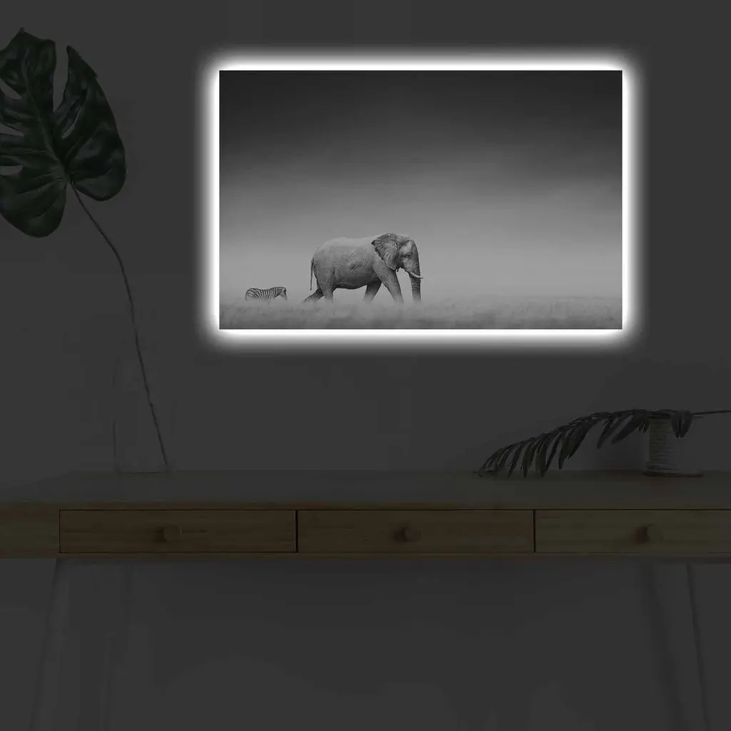 Wallity Slika sa LED osvetljenjem 4570DHDACT-099, 45x70 cm