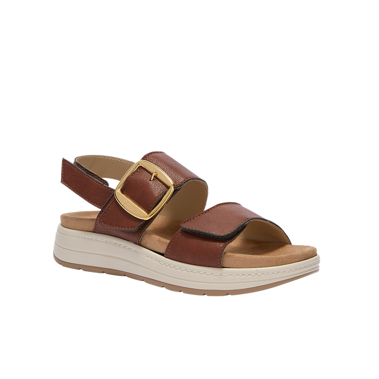 Scholl ženske sandale Scilla sandal-brown