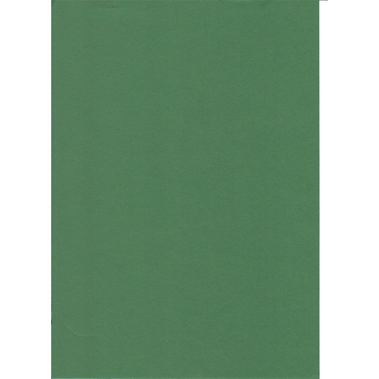 KARTON 70X100CM 220G OCTOPUS ZELENI UNL-2013