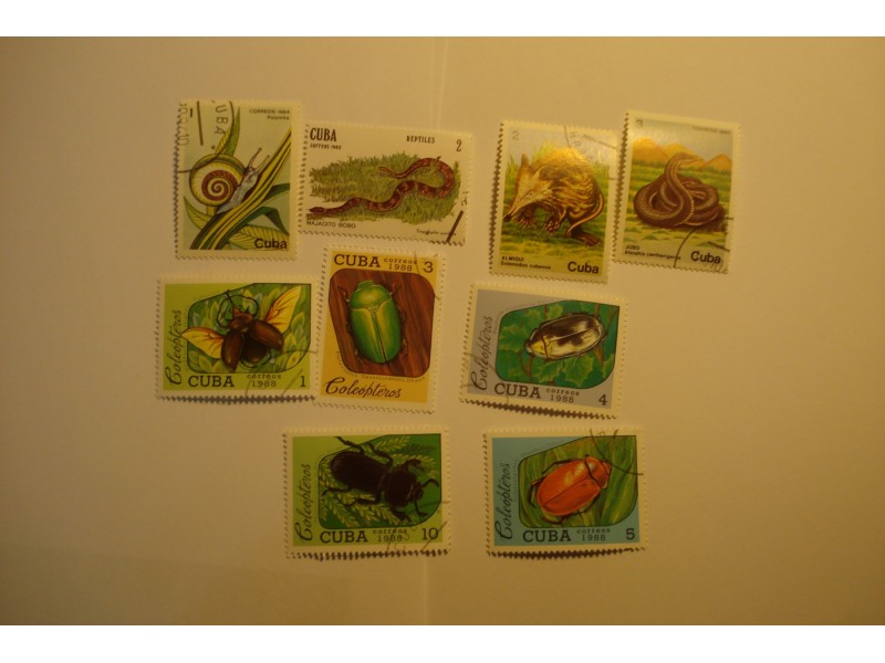 CUBA LOT
