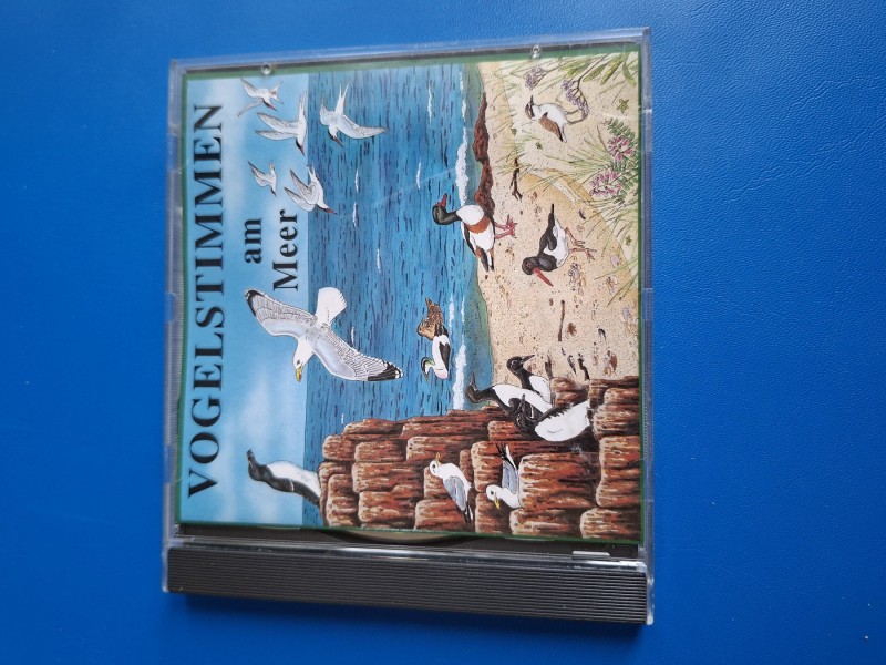 Vogelstimmen am Meer" (Glasovi ptica na moru).