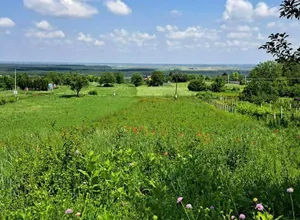Prodaja Građevinsko zemljište - Inđija