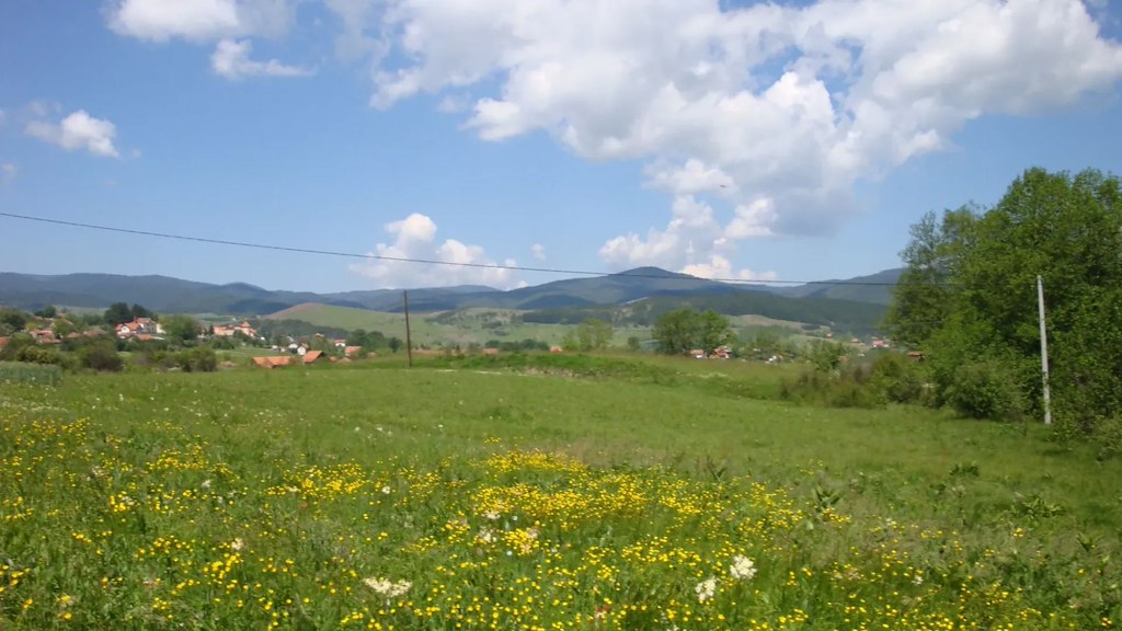 Prodaja, plac, 6400m², Kremna, Užice
