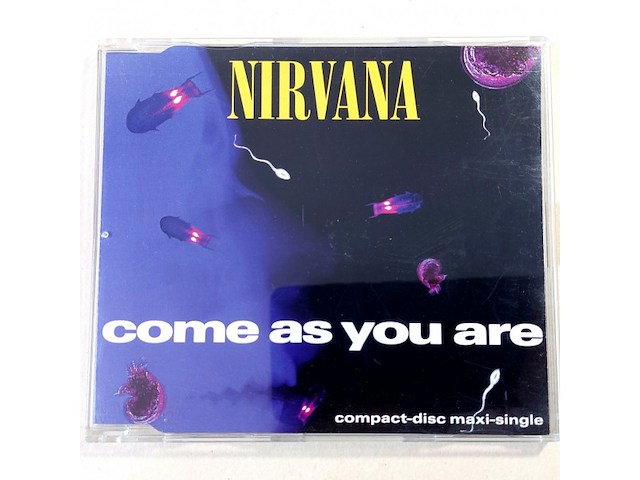 Nirvana - Come As You Are