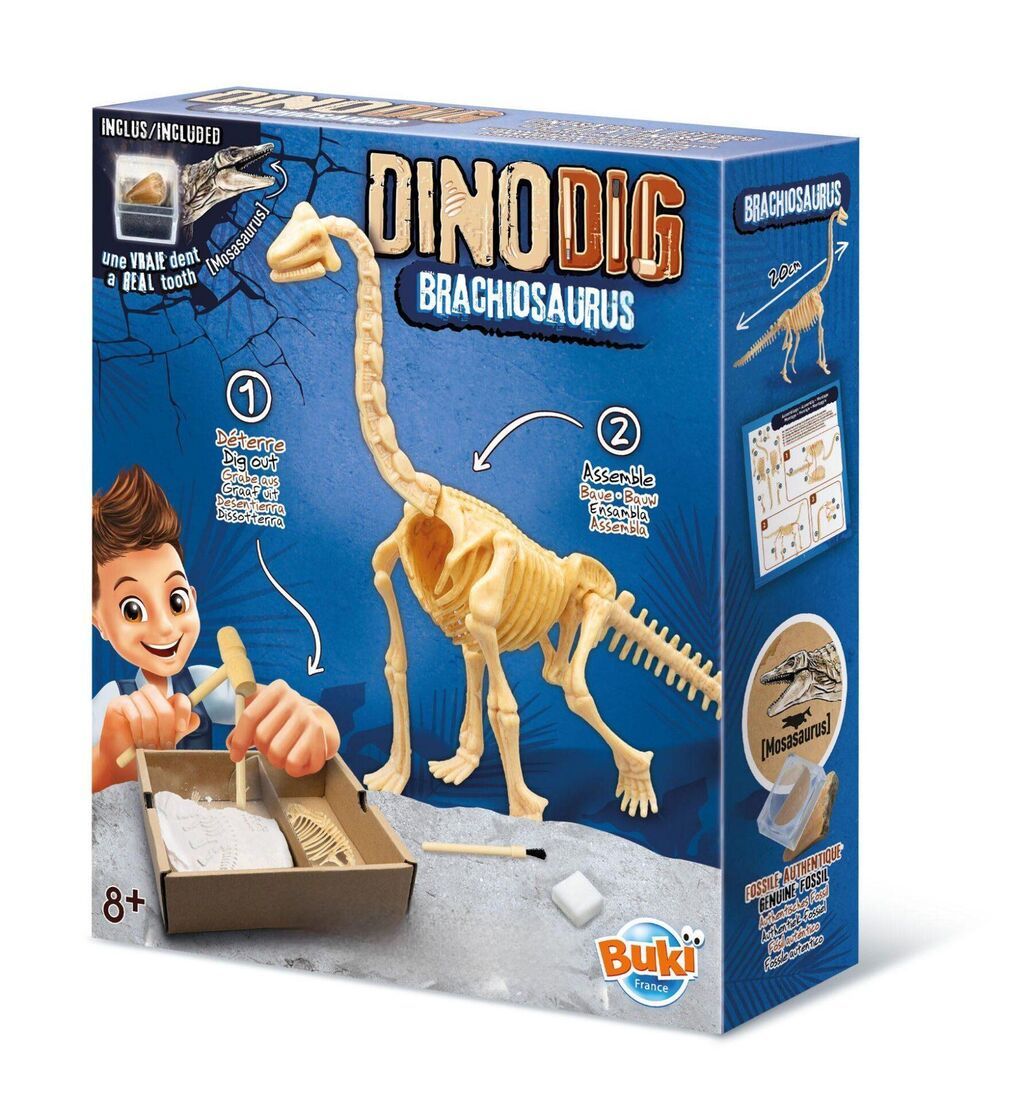 Dino Dig – Brachiosaurus edukativni set za paleontologe početnike. -