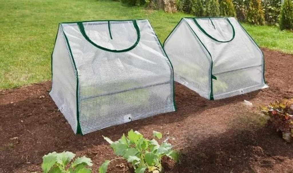 Mini plastenik/tunel za gredice – prenosivi “cold frame” za zaštitu i