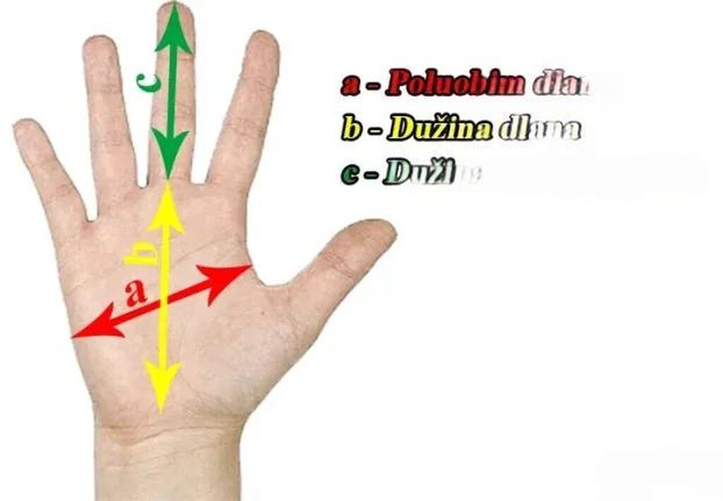 Moto rukavice FOX – crne, celo-prstne - Namenjene za motociklizam