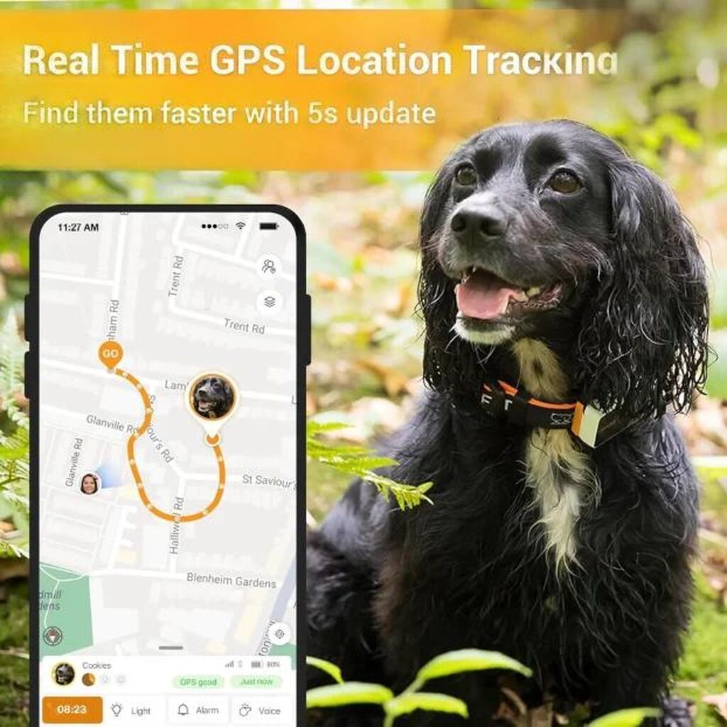 Pawfit 3 GPS tracker za pse - Praćenje lokacije u realnom vremenu