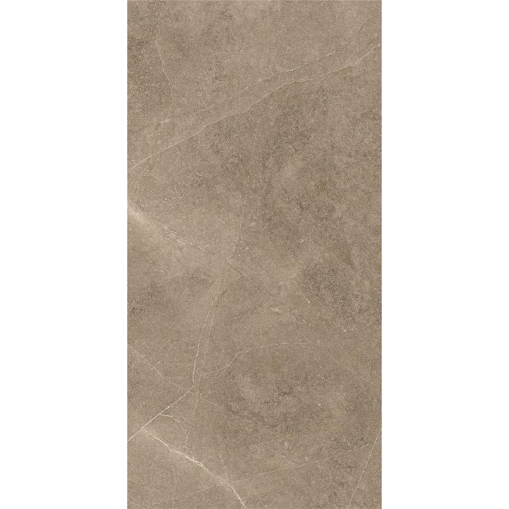 Elegant Taupe 30×60