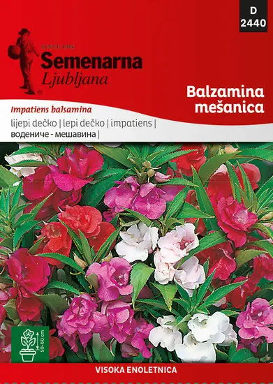 Seme za cveće Lepi Jova - mešavina - Impatiens balsamina 2440
