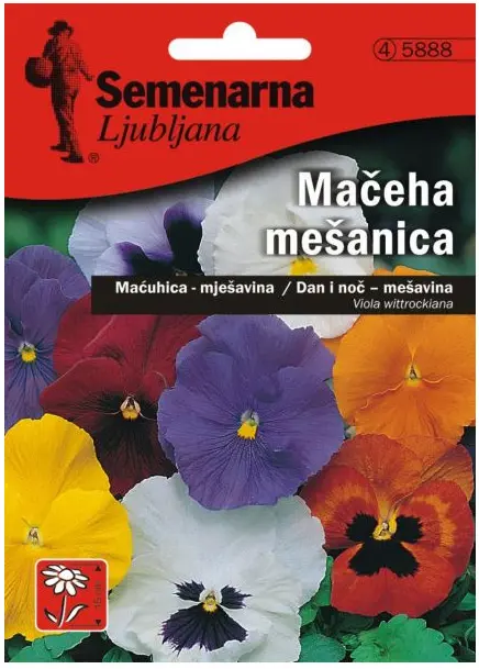 Seme za cveće Dan i noć - mešavina - Viola wittrockiana 5888