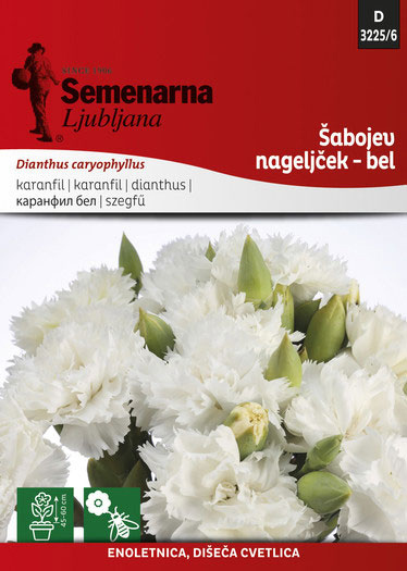 Seme za Karanfil šabo - beli - Dianthus caryophyllus 10 kesica 3225/6
