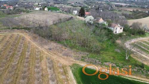 Slankamenački vinogradi, Građevinsko zemljište 2280m2 HITNO!