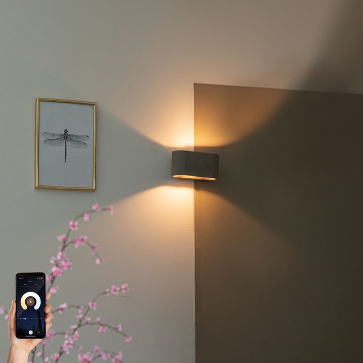 Pametna ovalna zidna lampa betonska uklj. Zigbee G9 - Arles