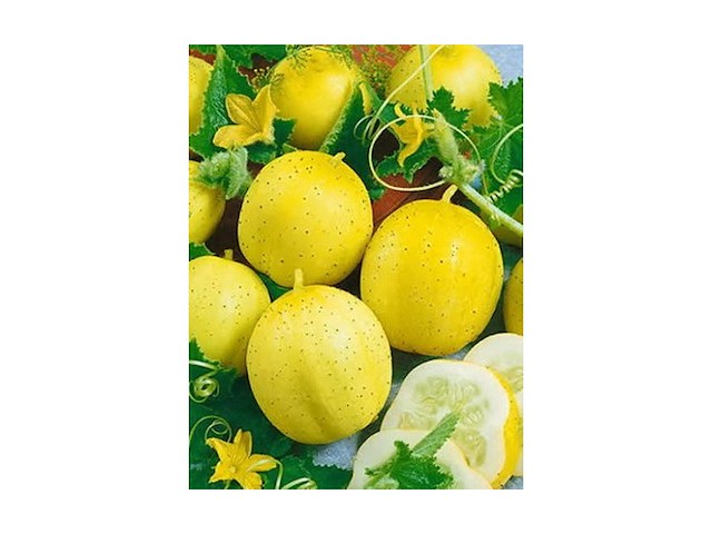 Krastavac Crystal Lemon (25 semenki)