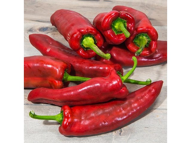 Paprika Marconi Red (200 semenki)