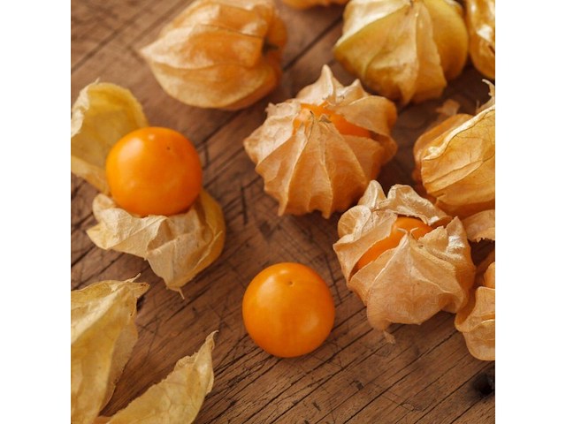 Physalis peruviana (300 semenki) - Peruanska jagoda