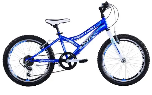 Mountain Bike MTB DIAVOLO 200/6HT plavo-belo-plavo 912292-11