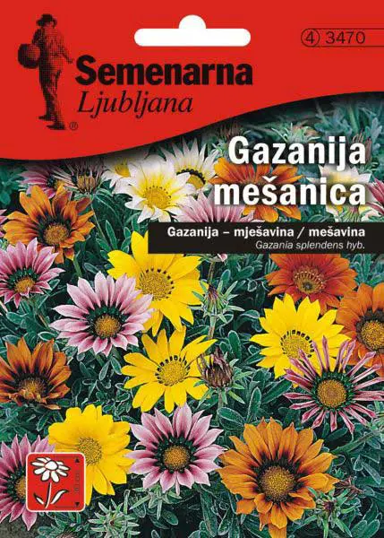 Baštensko cveće Gazanija - mešavina - Gazania splendens hyb. 10 kesica 3470