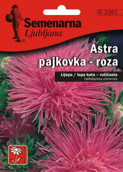 Seme 10 kesica Lepa Kata igličasta - pink - Callistephus chinensis spider 2261