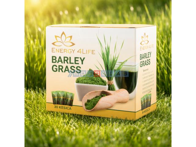 Barley Grass – Kesice
