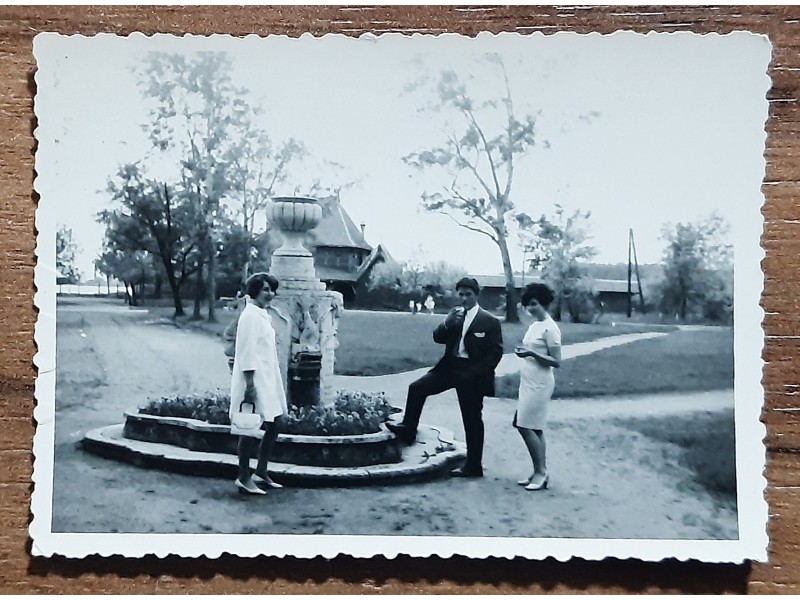 Vintage fotografija – Društvo na turističkom izletu