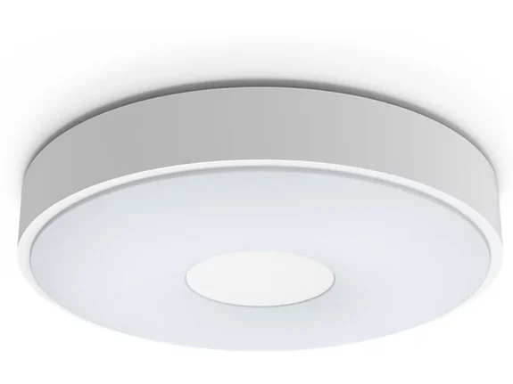 Philips Plafonjera COINER SS RD 24W 38.9cm