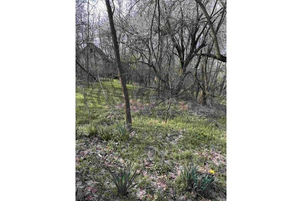 Plac, Beograd - Lisović | Prodaja · 1800m² · 28.000€