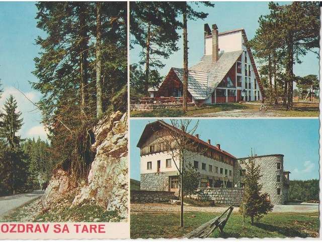 Tara