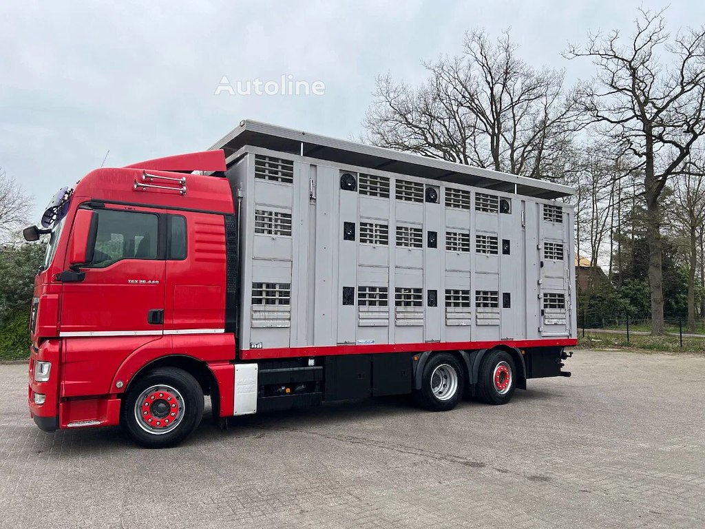 MAN TGX 26.440 6x2/4 Menke Livestock Veewagen Gross Vieh kamion za prevoz stoke
