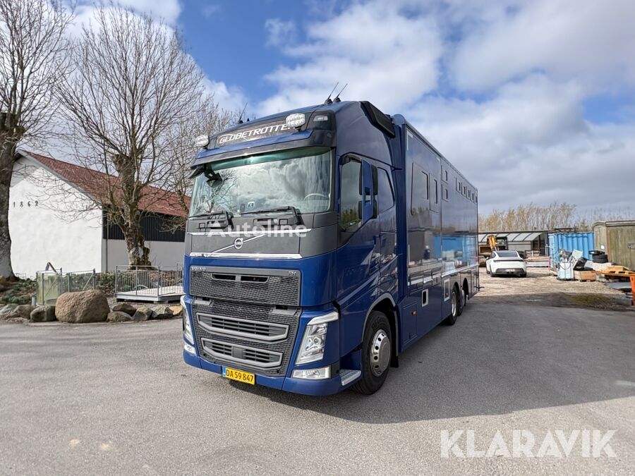 Prodaje se Volvo FH 460 kamion za prevoz konja na aukciji