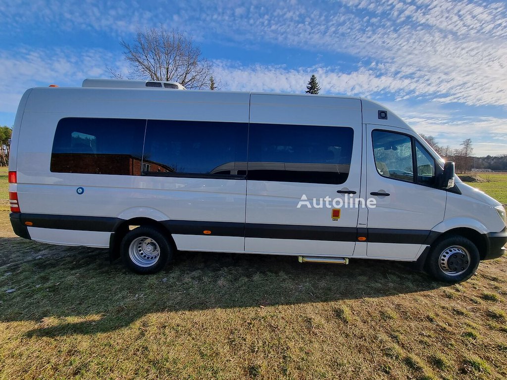 Mercedes-Benz Sprinter 516 putnički minibus