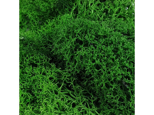 Aedes Ars 24030 Green Moss
