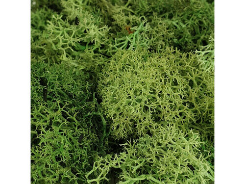 Aedes Ars 24031 Light Green Moss