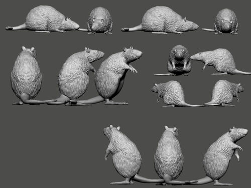 Germania-Figuren 72-ANIMAL-1000 Various Rats