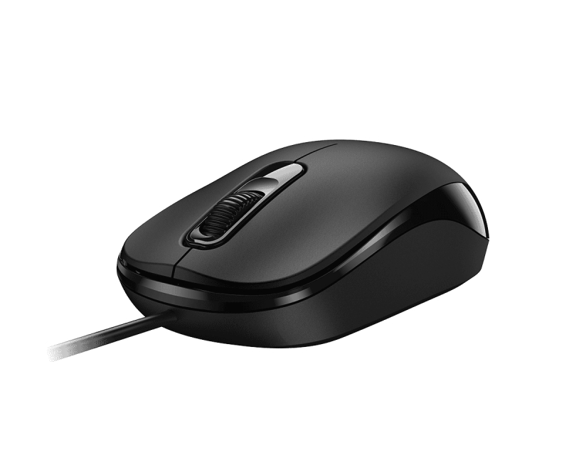 GENIUS OPTIČKI CRNI MIŠ DX-110 USB-C