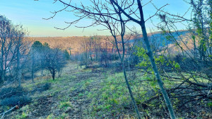 Prodajem Građevinsko Zemljište, Sremska Kamenica, Novi Sad Okolica