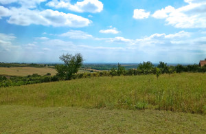 Manastir Hopovo,Irig, Građevinsko Zemljište, Fruška Gora