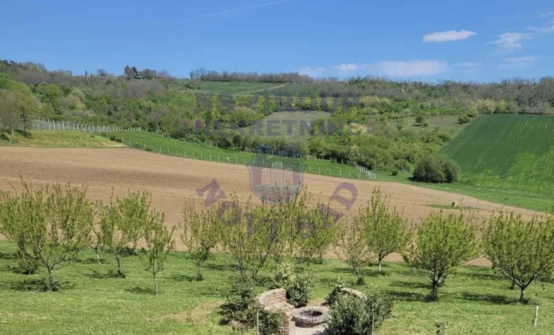 Gaj njiva, Vrdnik