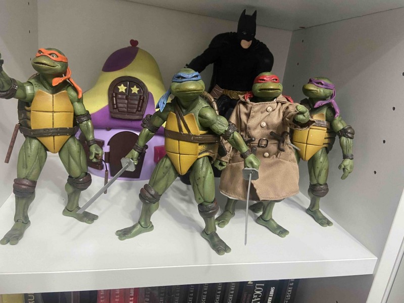TMNT Neca Nindza kornjace