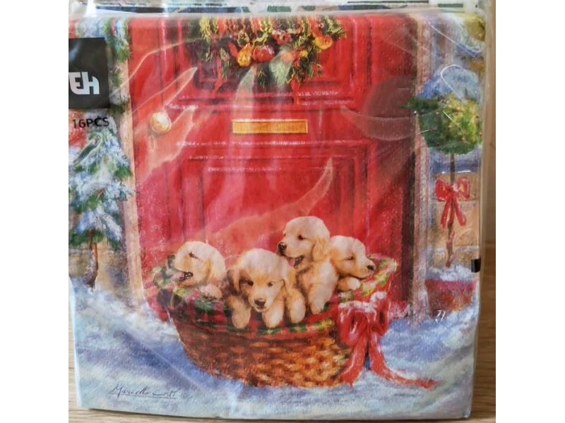 PAKET SALVETA