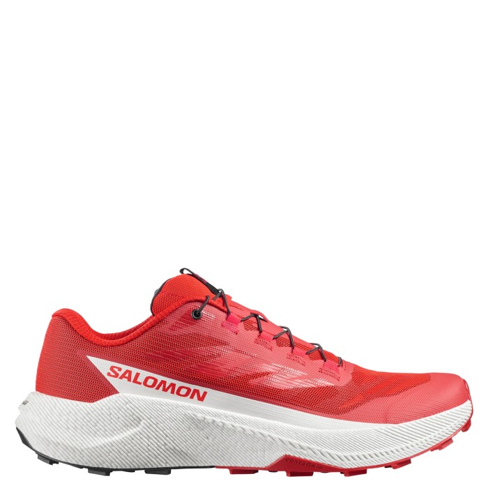 Salomon Pulsar patike