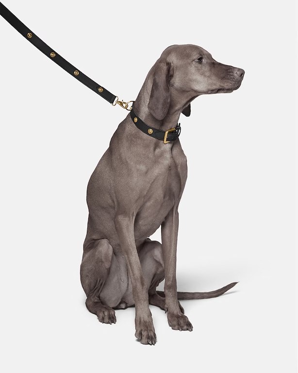 Versace Home Icon Small Pet Leash – Povodac za ljubimce
