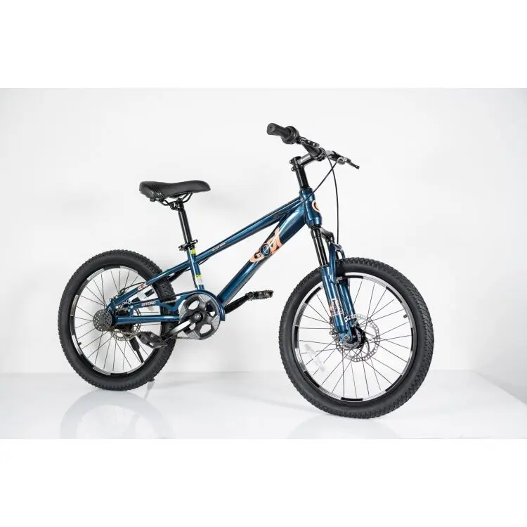 WinnerBike Dečiji bicikl TN24Q22, 20", Plavi