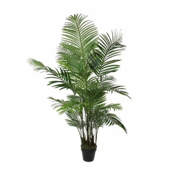 DEKOR DOM Drvo u saksiji ARECA PALM 160cm 1026427 - EDL
