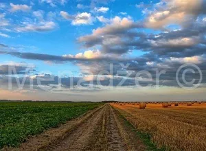 Prodaja Plac - Alibunar