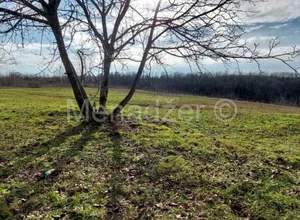 Prodaja Građevinsko zemljište - Smederevo