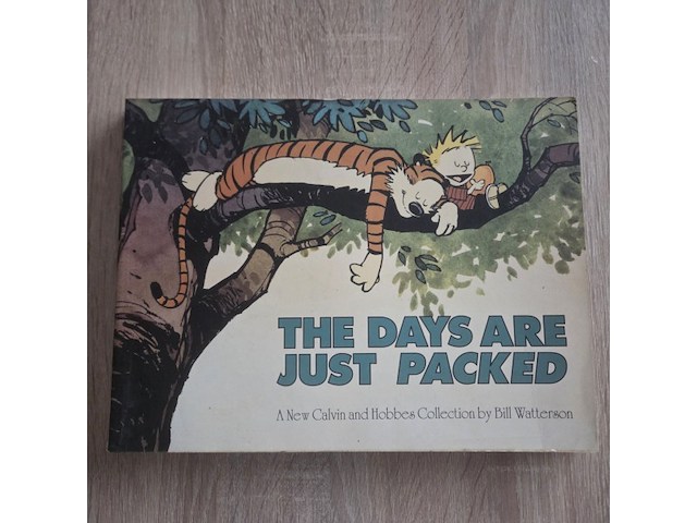 Calvin and Hobbes: The days are just packed