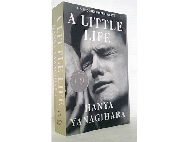 Hanya Yanagihara  A Little Life