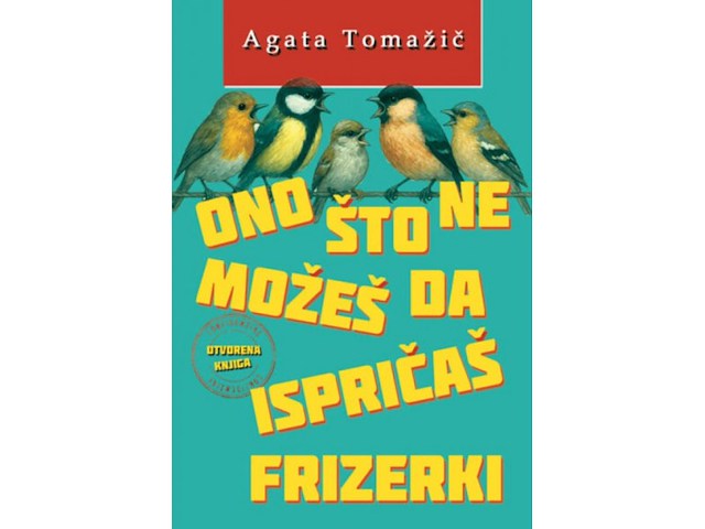 ONO ŠTO NE MOŽEŠ DA ISPRIČAŠ FRIZERKI - Agata Tomažić